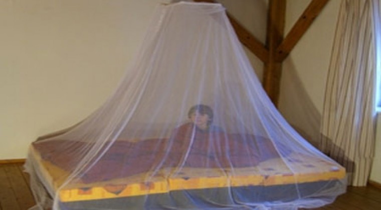 Diario HOY | “Pedimos que vuelvan a usar mosquiteros”