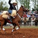 Diario HOY | La tradición jinetera en Paraguay es declarada Patrimonio ...