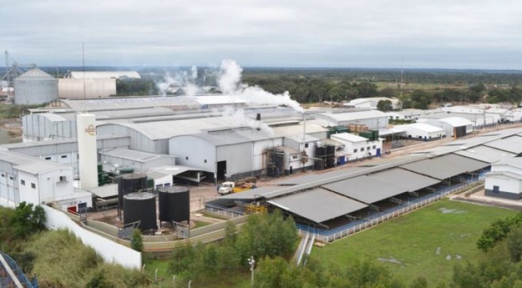 Diario HOY | Impondrán medidas a dueño de frigorífico