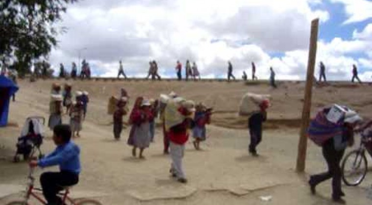 Diario HOY | Los millonarios detrás del contrabando hormiga: alertan ...