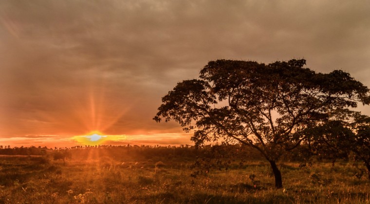 Diario HOY | La tendencia en todo el país será de clima cálido a caluroso