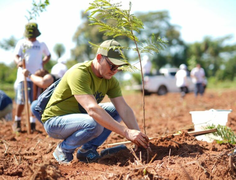 Diario HOY | Día Internacional de los bosques: suman 60.000 nuevos ...