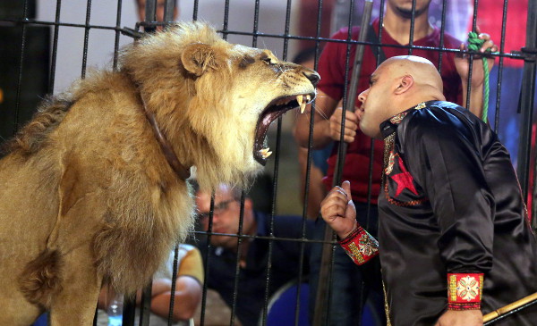 Diario HOY | La forma más utilizada, pero equivocada del verbo osar