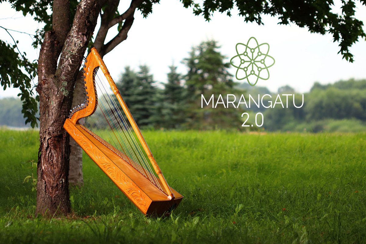 Diario HOY | Habilitan opción para inscribirse en Registro de ...