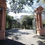 Diario HOY | Último encuentro de Arte al Parque en el 2022