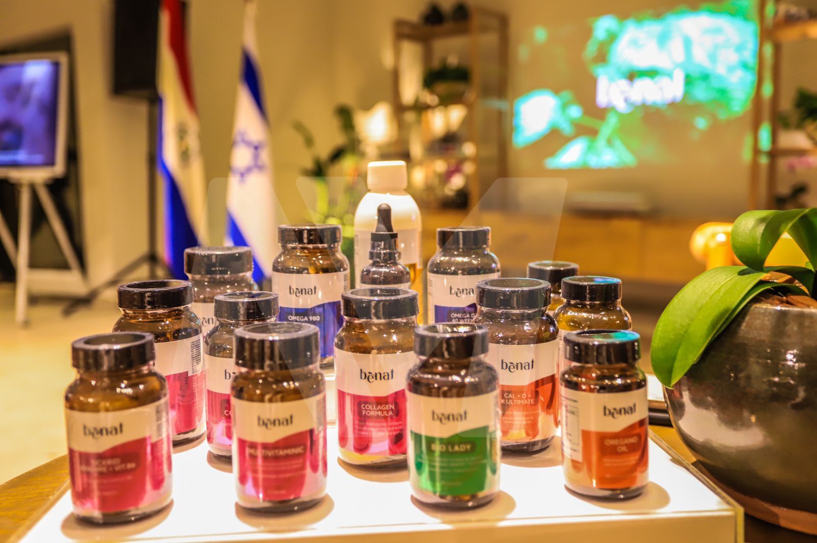 Diario HOY | Lanzan “Benat”, el nuevo suplemento dietario que ofrece ...